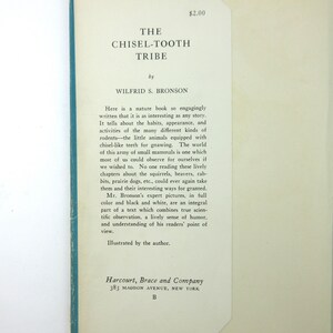 The Chisel-tooth Tribe by Wilfred S. Bronson - Etsy