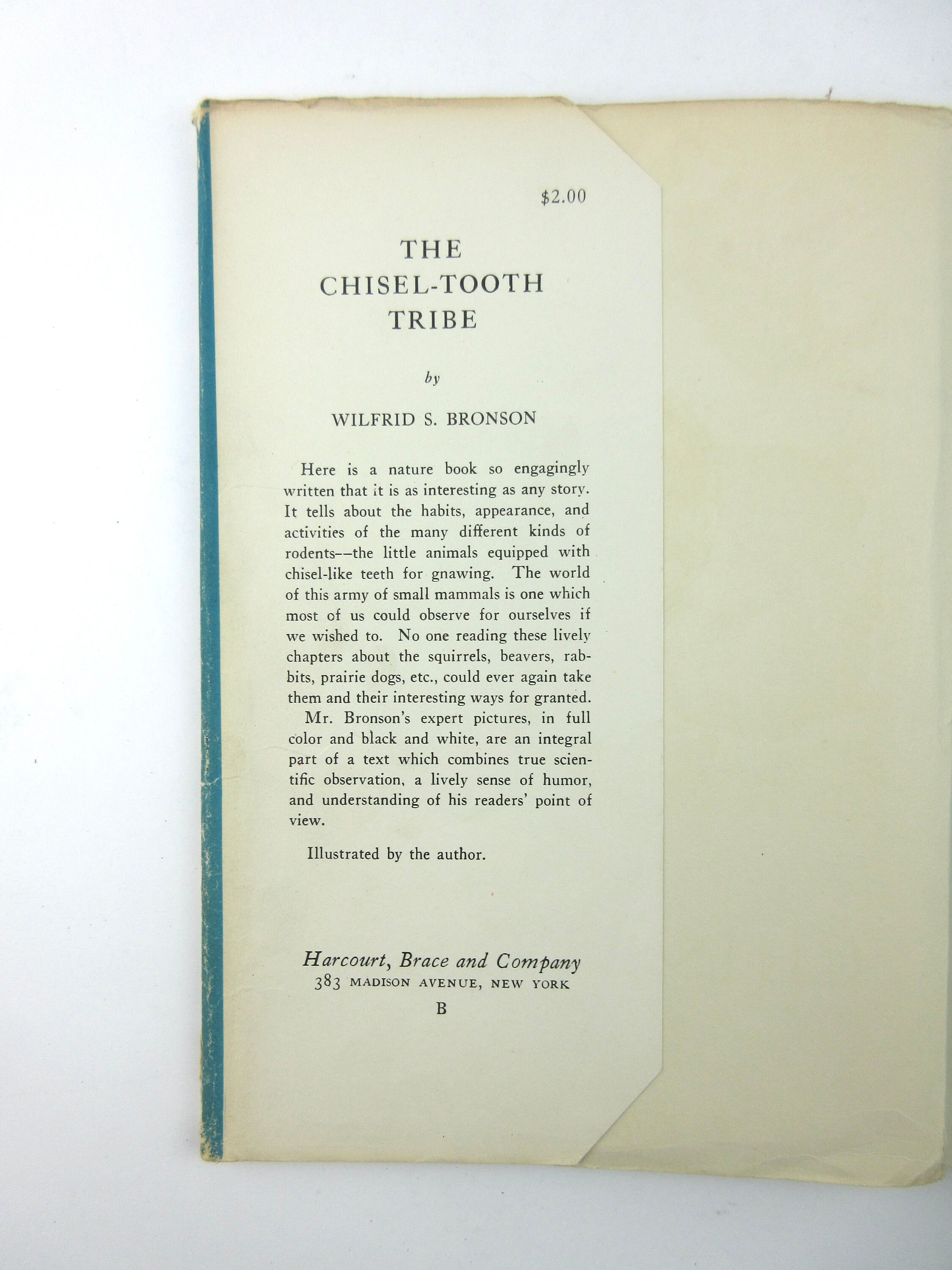 The Chisel-tooth Tribe by Wilfred S. Bronson - Etsy