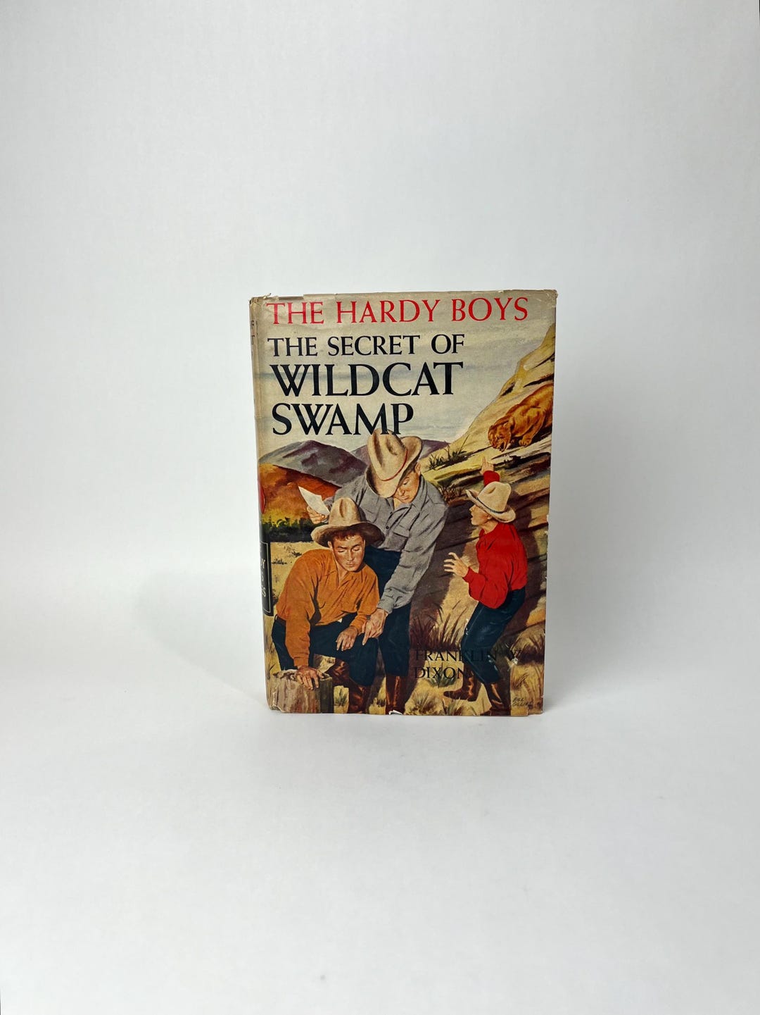 THE HARDY BOYS the Secret of Wildcat Swamp by Franklin W. Dixon - Etsy
