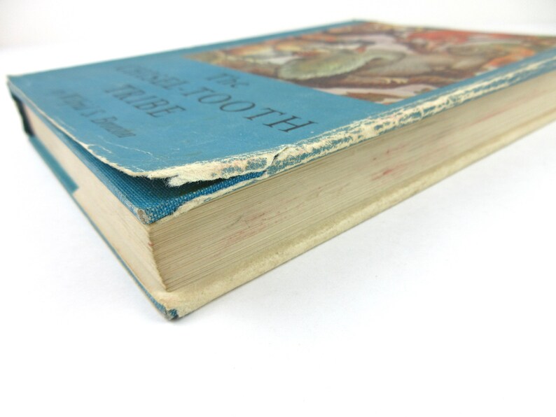 The Chisel-tooth Tribe by Wilfred S. Bronson - Etsy