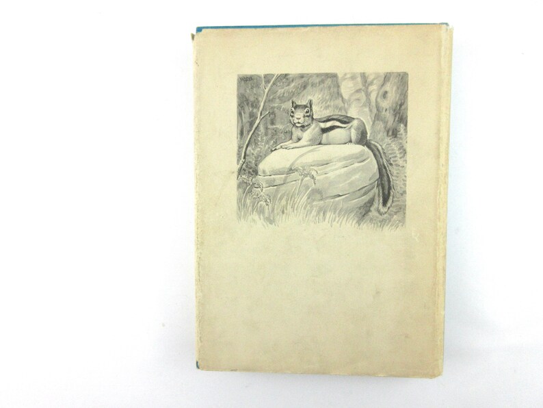 The Chisel-tooth Tribe by Wilfred S. Bronson - Etsy