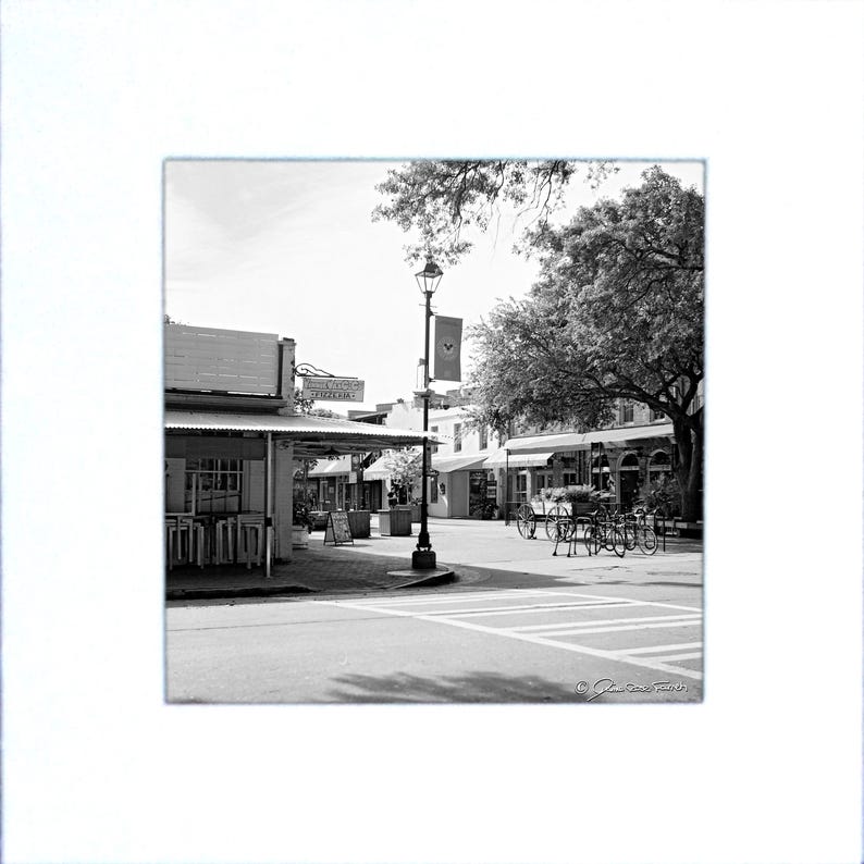 Vinnie Van Go-gos Savannah GA - Etsy