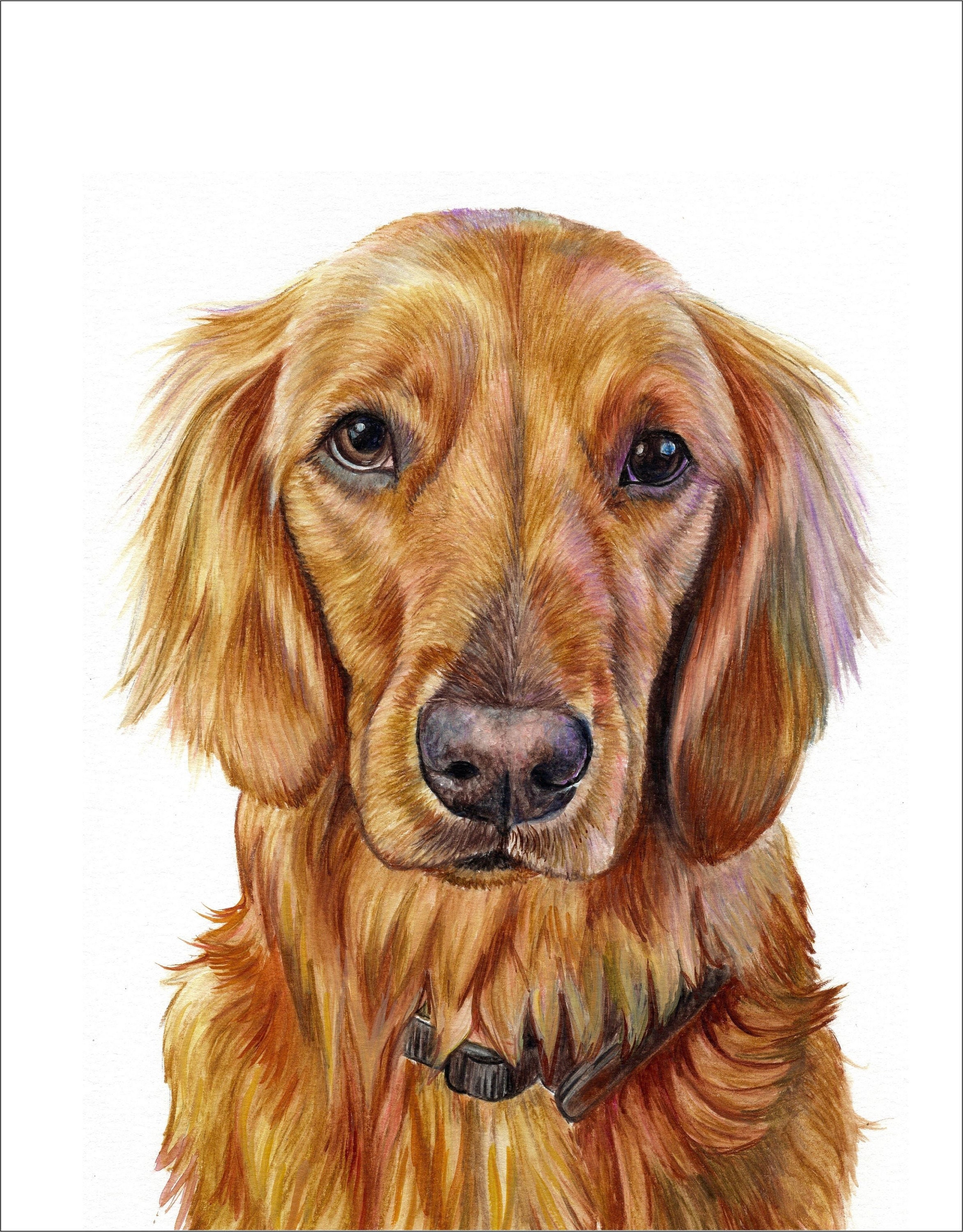 Pet Portraits Pets Dog Portrait Original Pet Art Water | Etsy