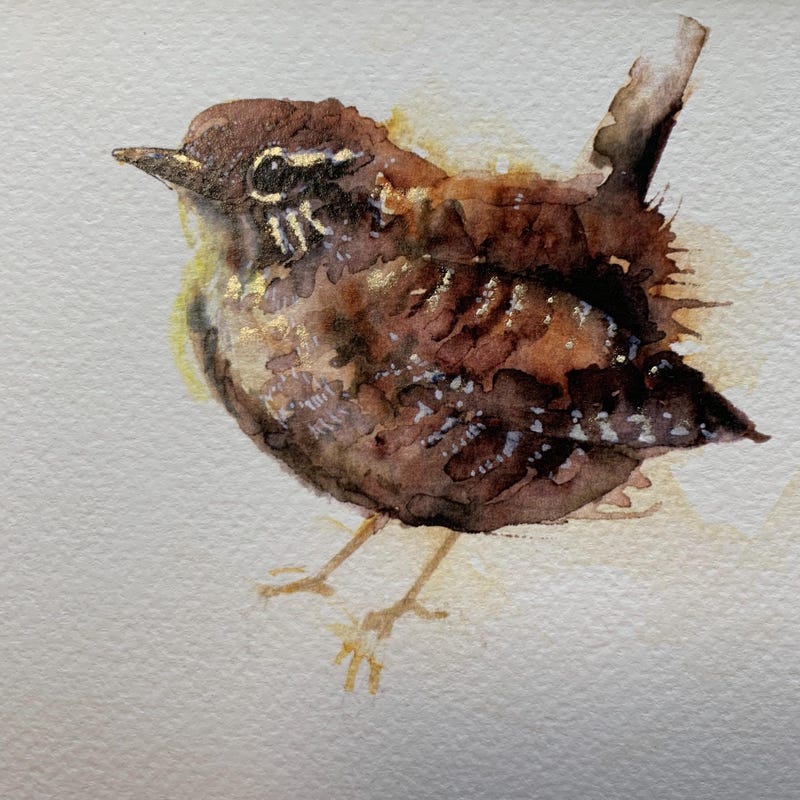 Wren Painting - Etsy UK