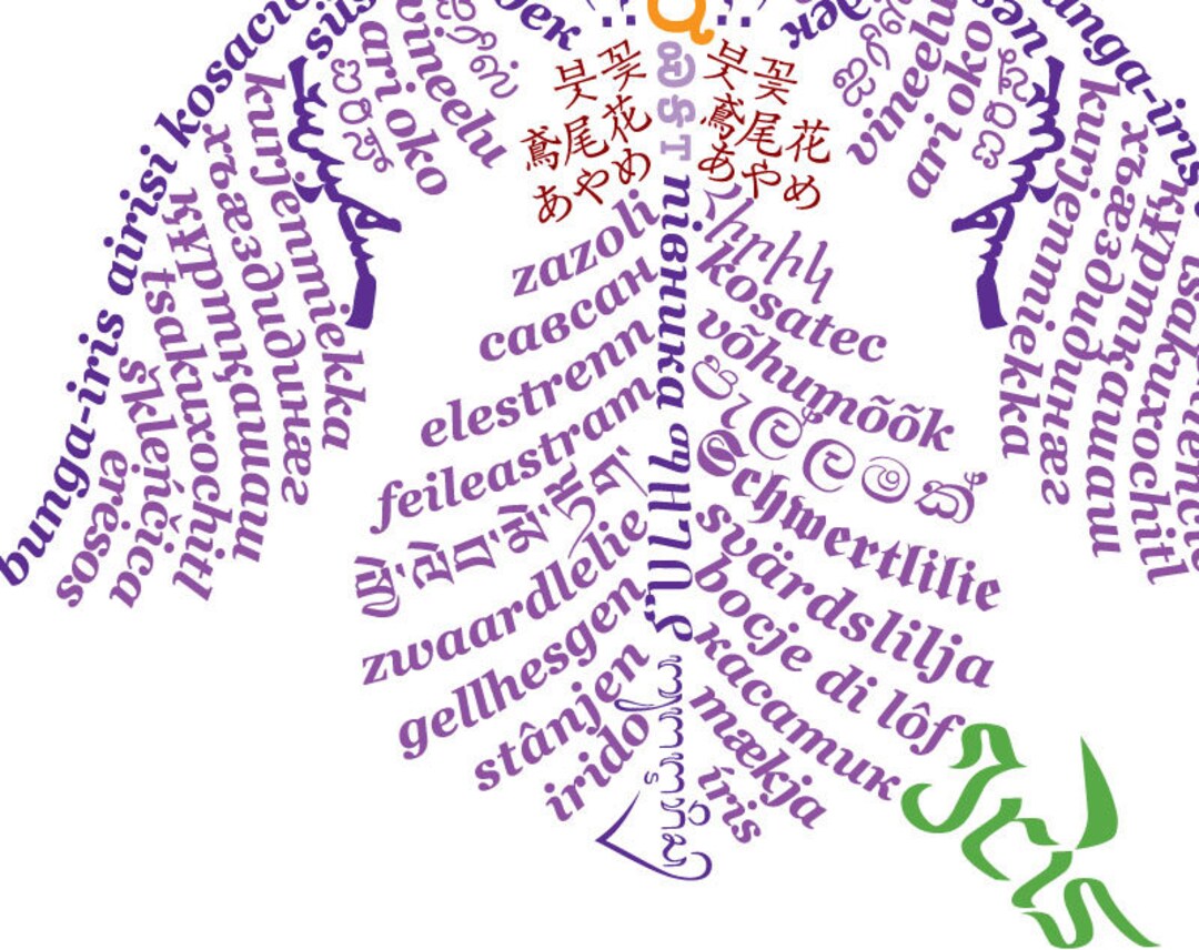 World Iris Card Template Pdfs - DIY Printable Customizable - Etsy