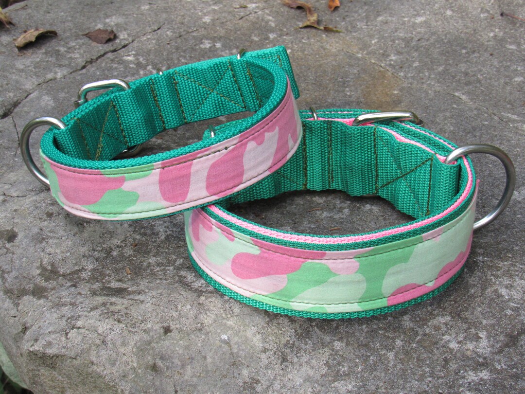 1 1/2, 2 Wide 4 Ply Nylon Buckle Dog Collar American Bully Pit Bull ...