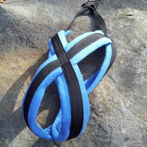 Dog Sledding Urban Mushing Bikjoring Skijoring Canicross - Etsy