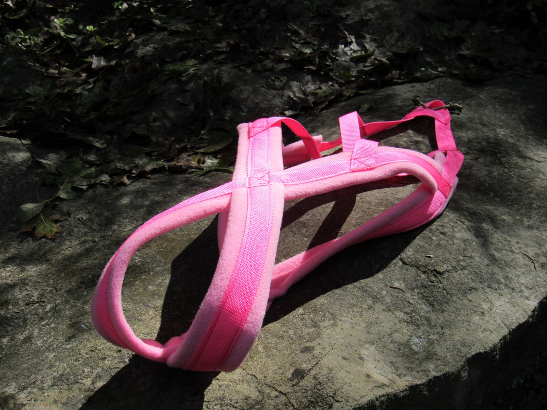 Dog Sledding Urban Mushing Bikjoring Skijoring Canicross Scootering ...