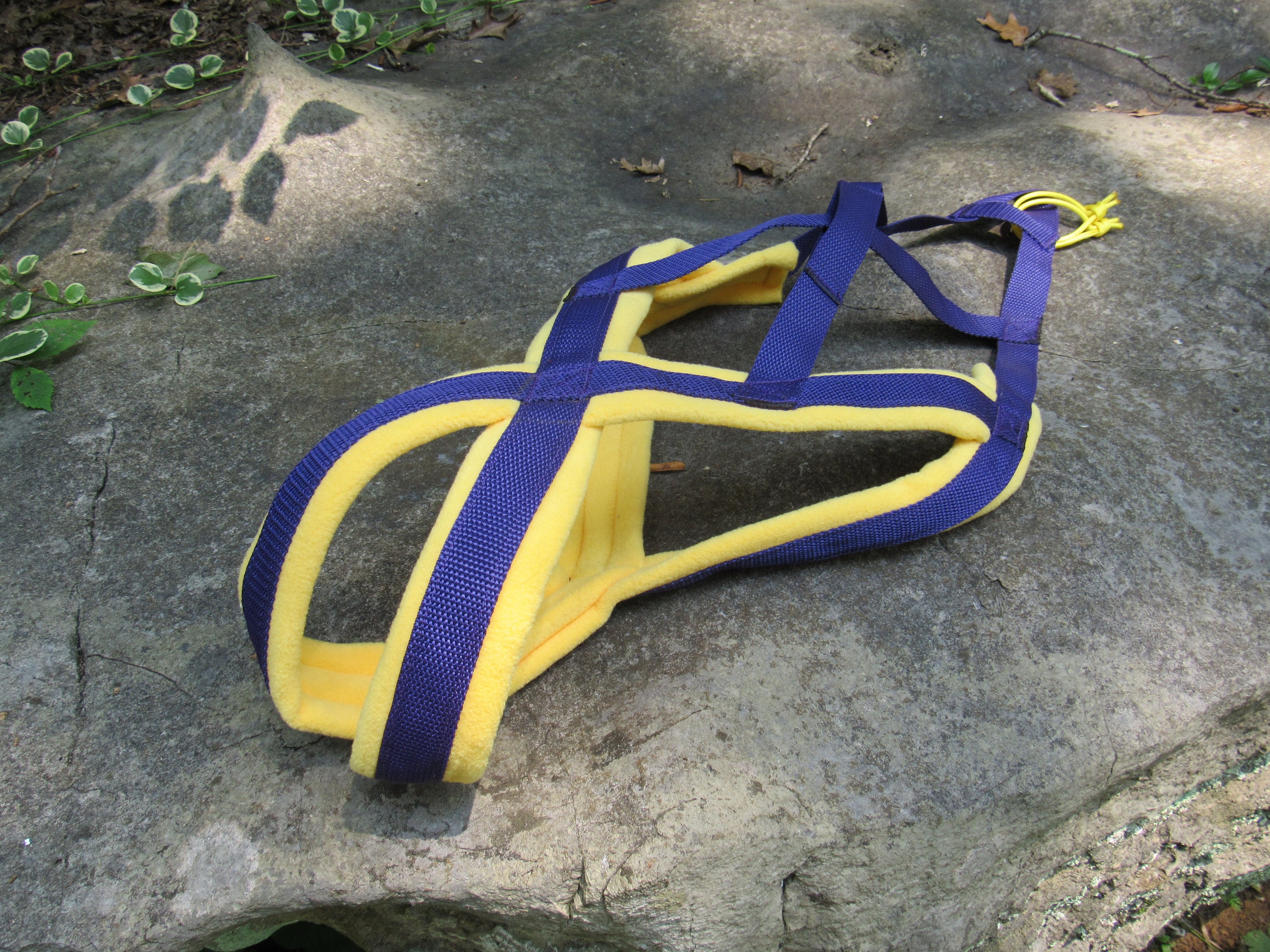 Dog sledding urban mushing bikjoring skijoring canicross | Etsy