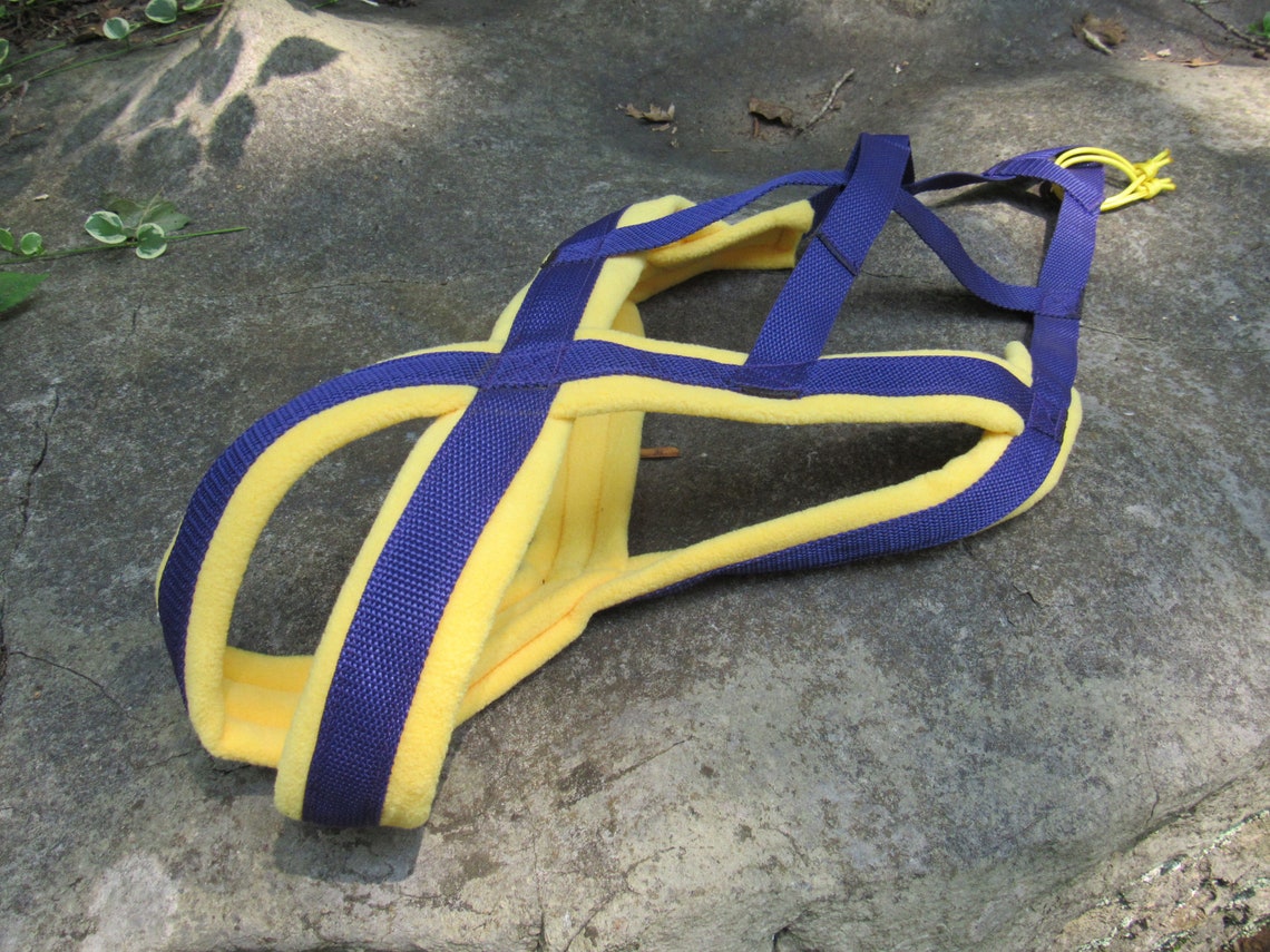 Dog Sledding Urban Mushing Bikjoring Skijoring Canicross - Etsy