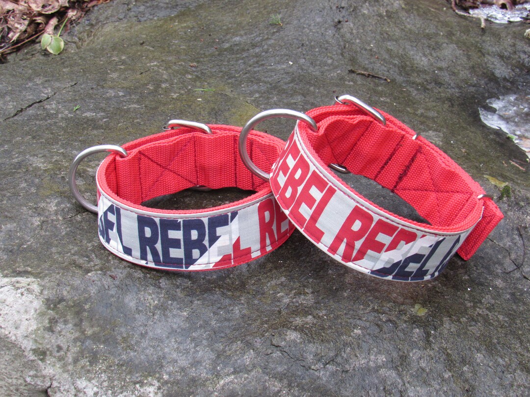 1 1/2, 2 Wide 4 Ply Nylon Buckle Dog Collar American Bully Pit Bull ...