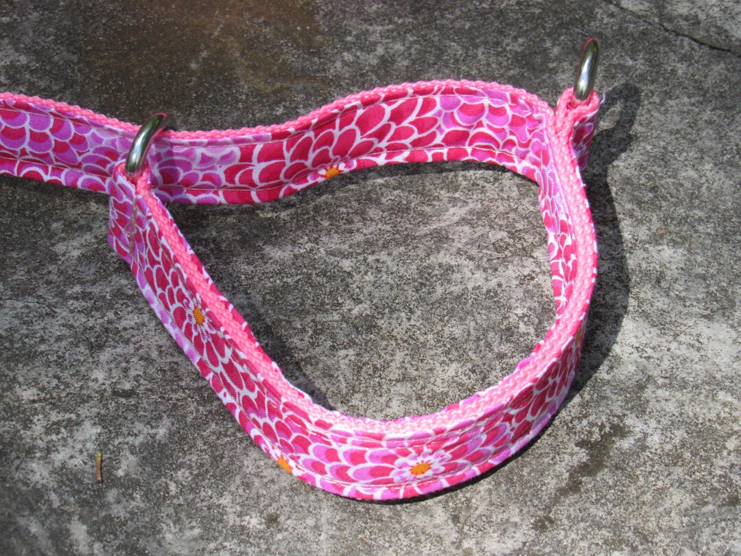 Double Ring Lure Coursing Slip Lead Leash Barn Hunt Agility Fast Cat ...