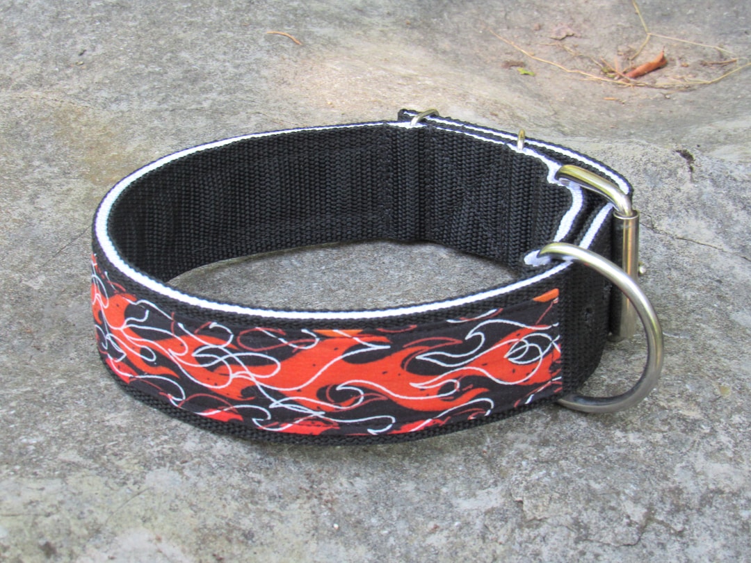 2" Wide 4 Ply Nylon Buckle Dog Collar American Bully Pit Bull Bulldog ...