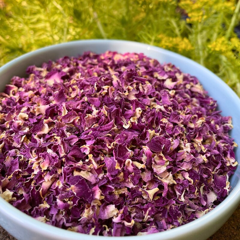 Organic Confetti - Etsy