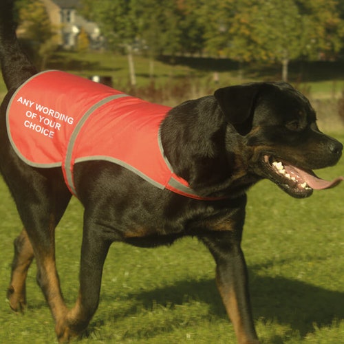 Lego Greyhound KIT Greyhound Toy Build Your Own | Etsy UK