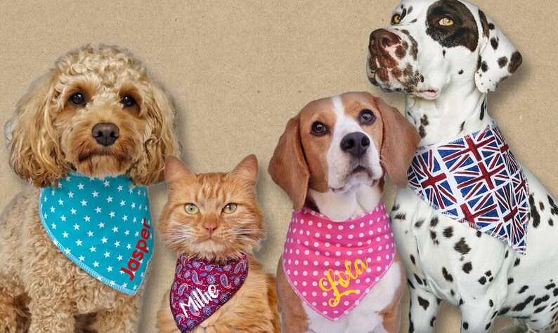 Spoilt Rotten Pets Burgundy Paisley Pattern Any Name Custom - Etsy