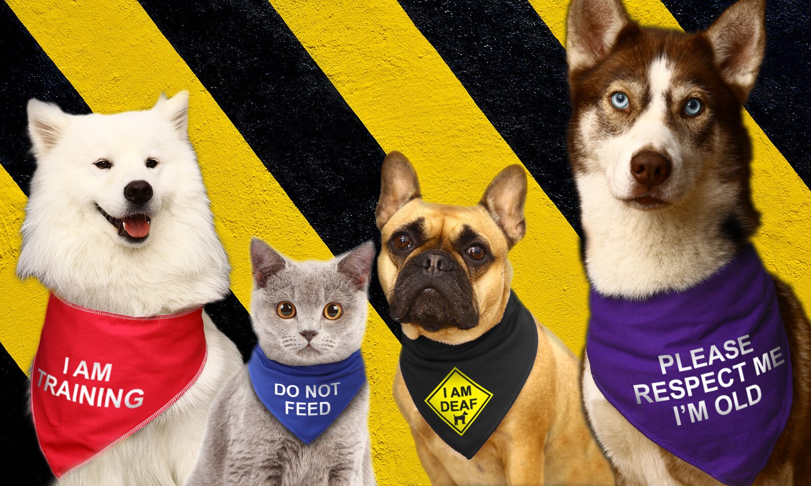 Spoilt Rotten Pets 'Be Kind I'm Deaf' Warning | Etsy