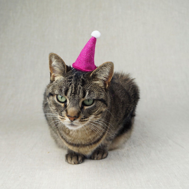 Cat Party Hats - Etsy