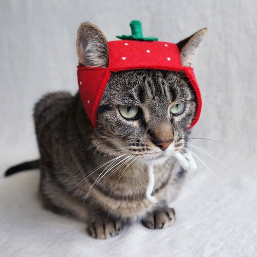 Mini Party Hat for Cats - Etsy