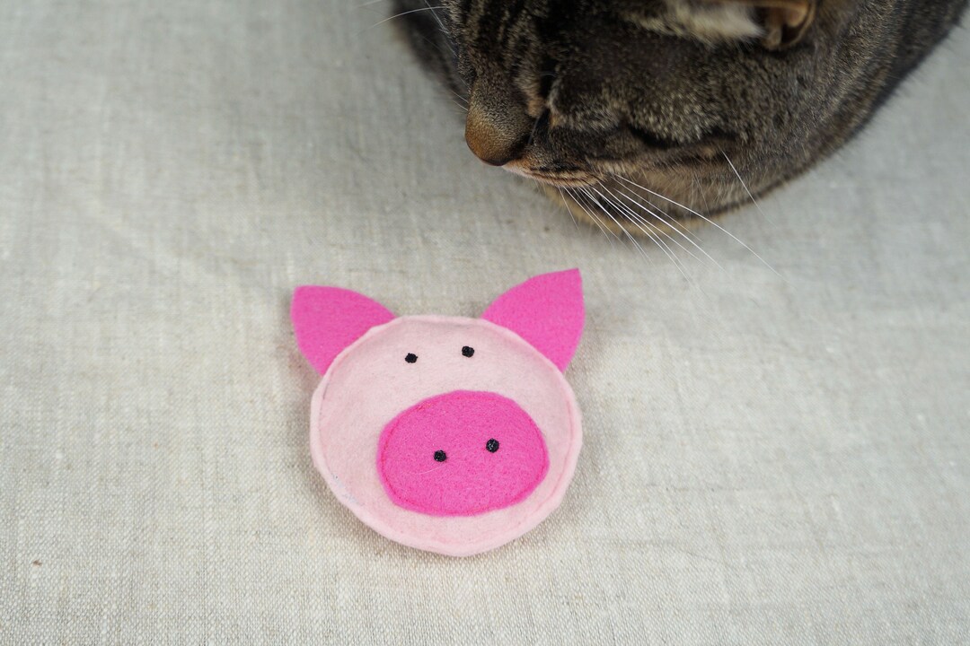 Pig Catnip Toy for Cats - Etsy