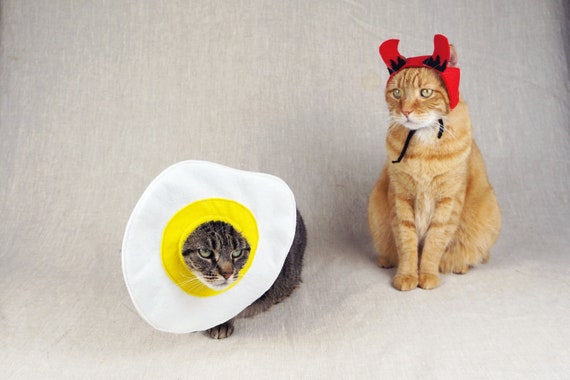 Cat costumes for cats store