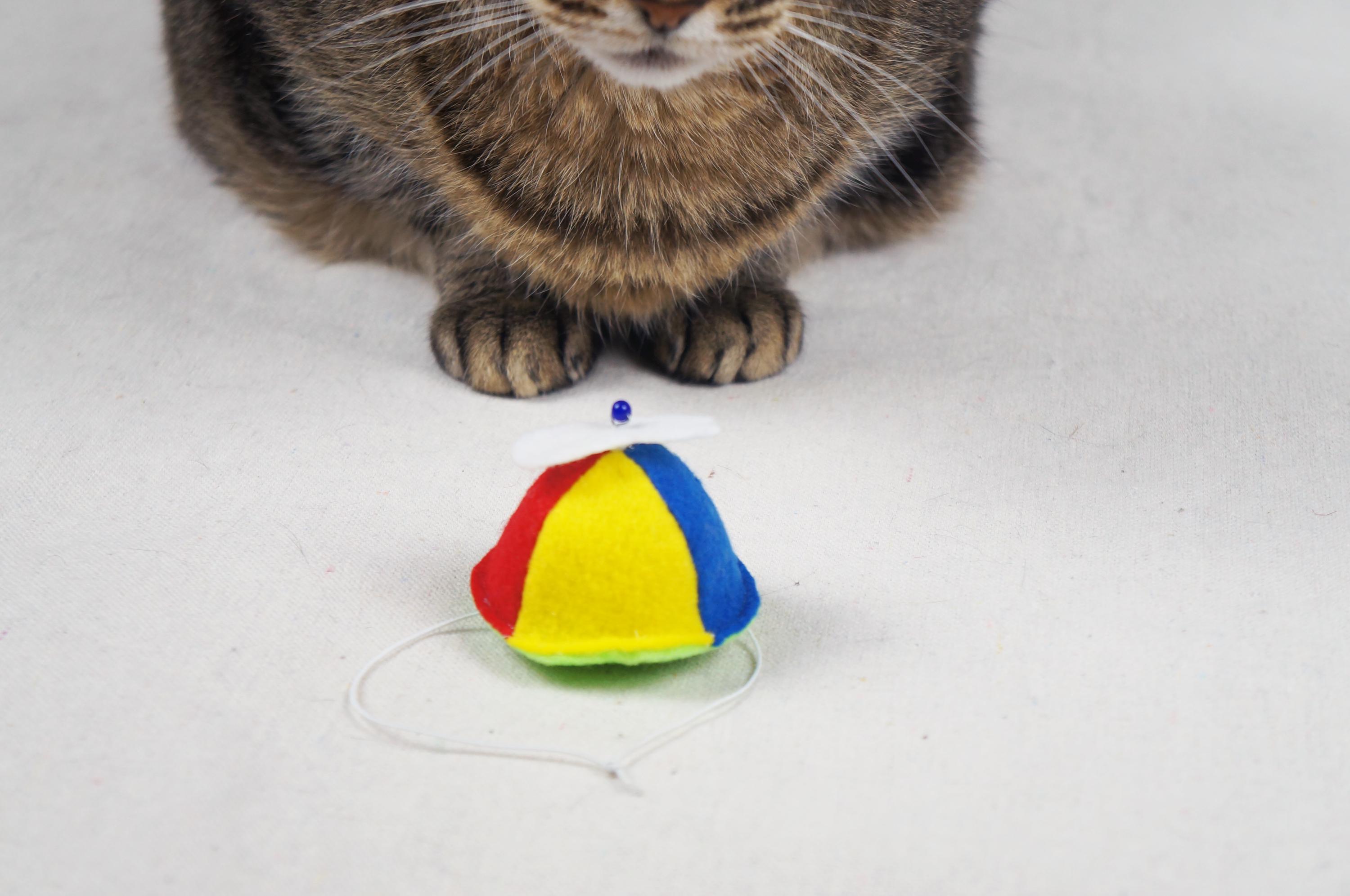 Propeller Beanie Hat for Cats - Etsy