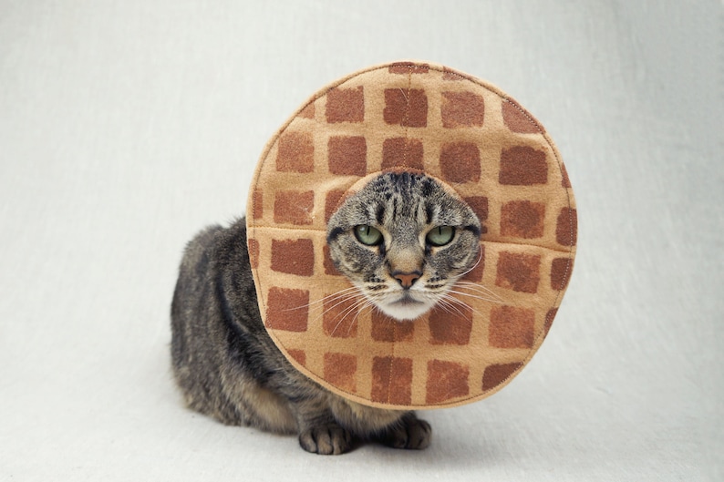 Waffle Costume for Cats | Etsy