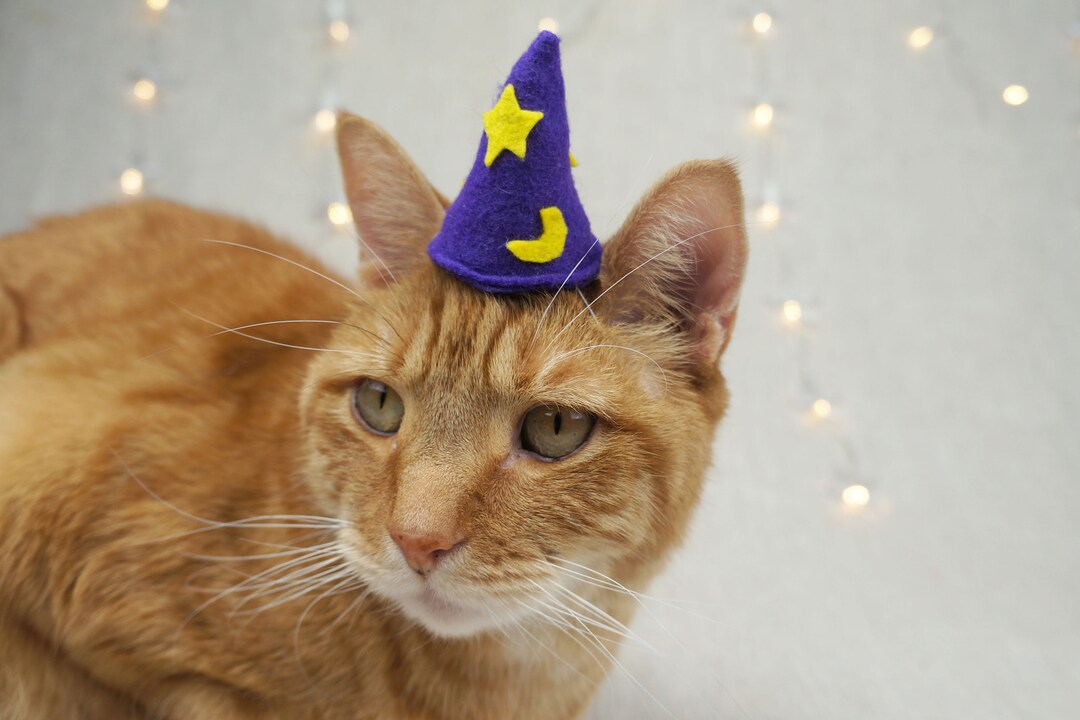 Wizard Hat for Cats | Cat Hat - Etsy