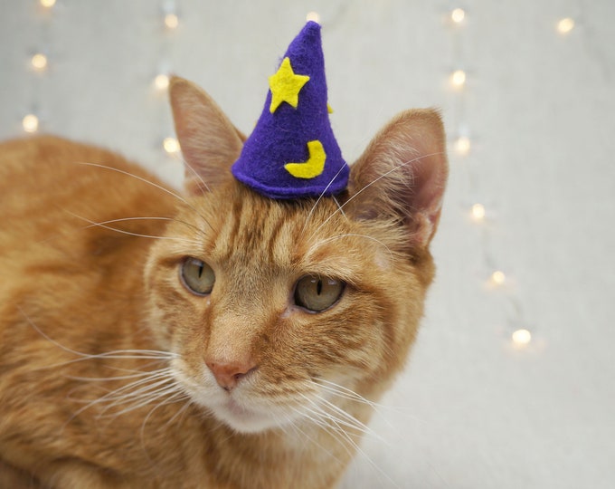 Wizard Hat for Cats Cat Hat | Etsy