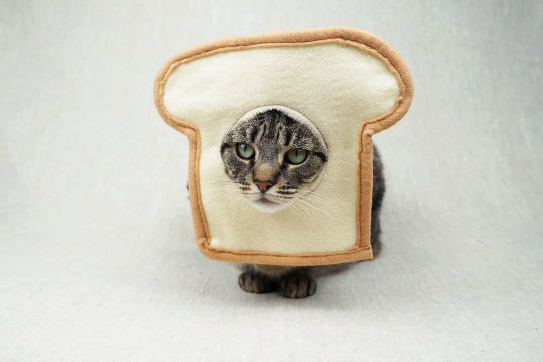 Bread Cat Costume for Cats - Etsy