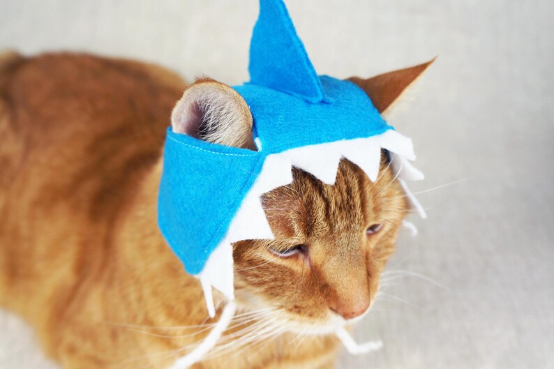 Shark Hat for Cats - Etsy
