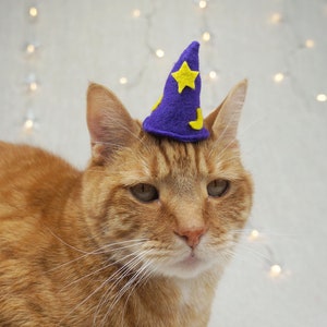 Wizard Hat for Cats | Cat Hat - Etsy