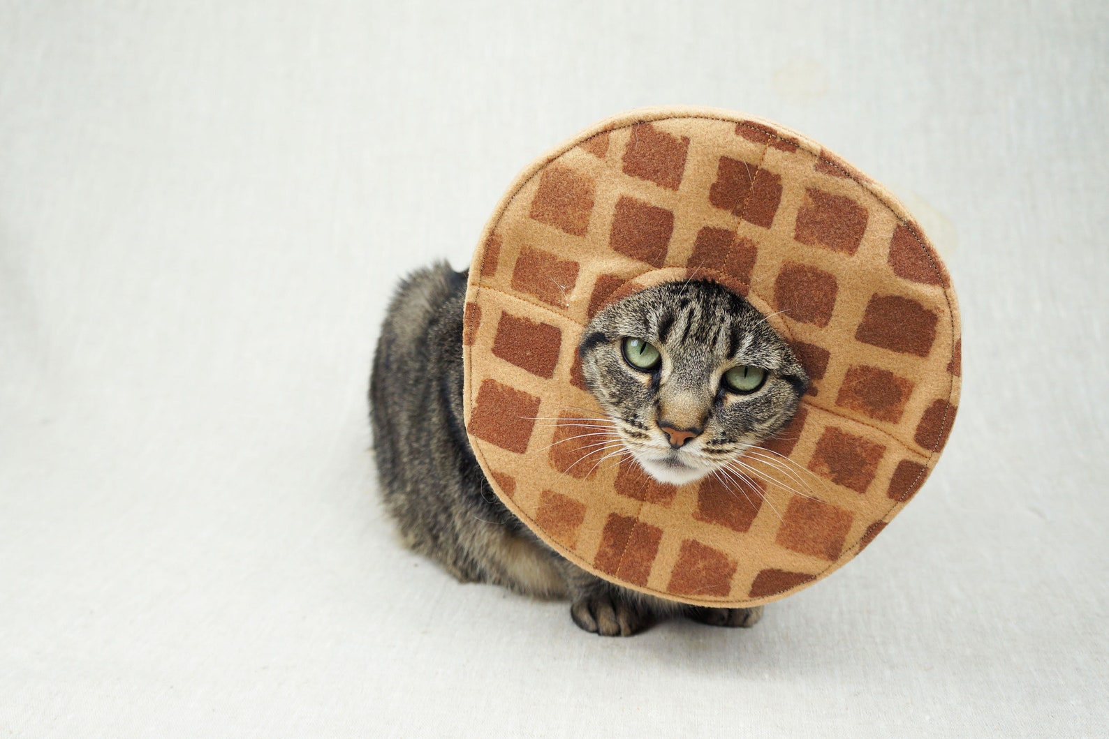 Waffle Costume for Cats | Etsy