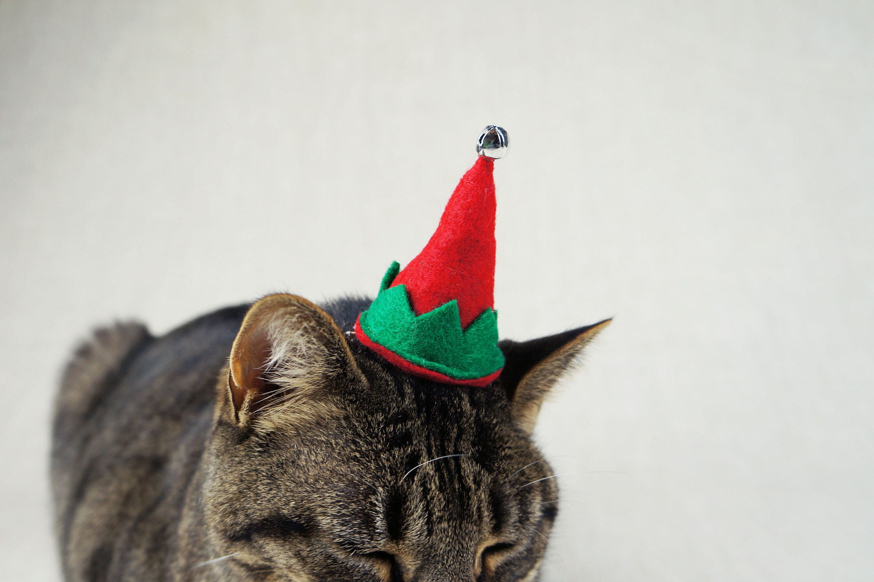 Elf Hat For Cats | Etsy