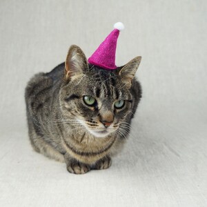 Mini Party Hat for Cats - Etsy