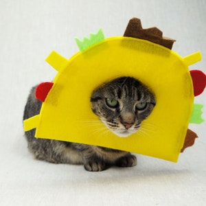 Taco Costume for Cats - Etsy