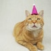 Mini Party Hat for Cats - Etsy