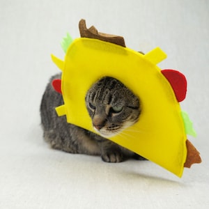 Taco Costume for Cats - Etsy
