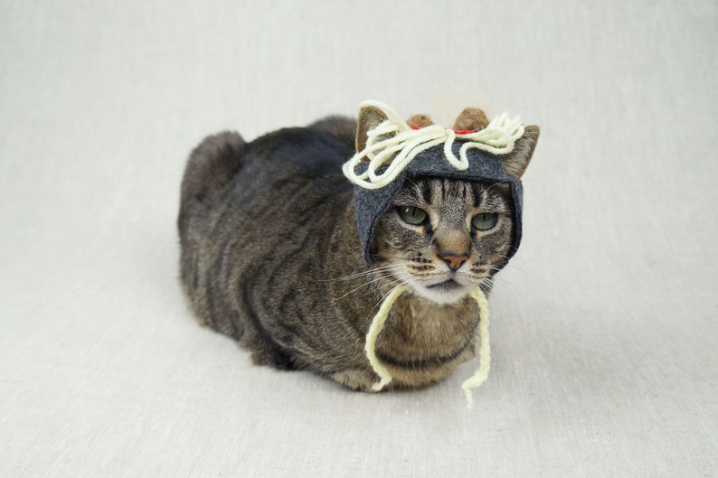 Spaghetti and Meatballs Hat for Cats - Etsy