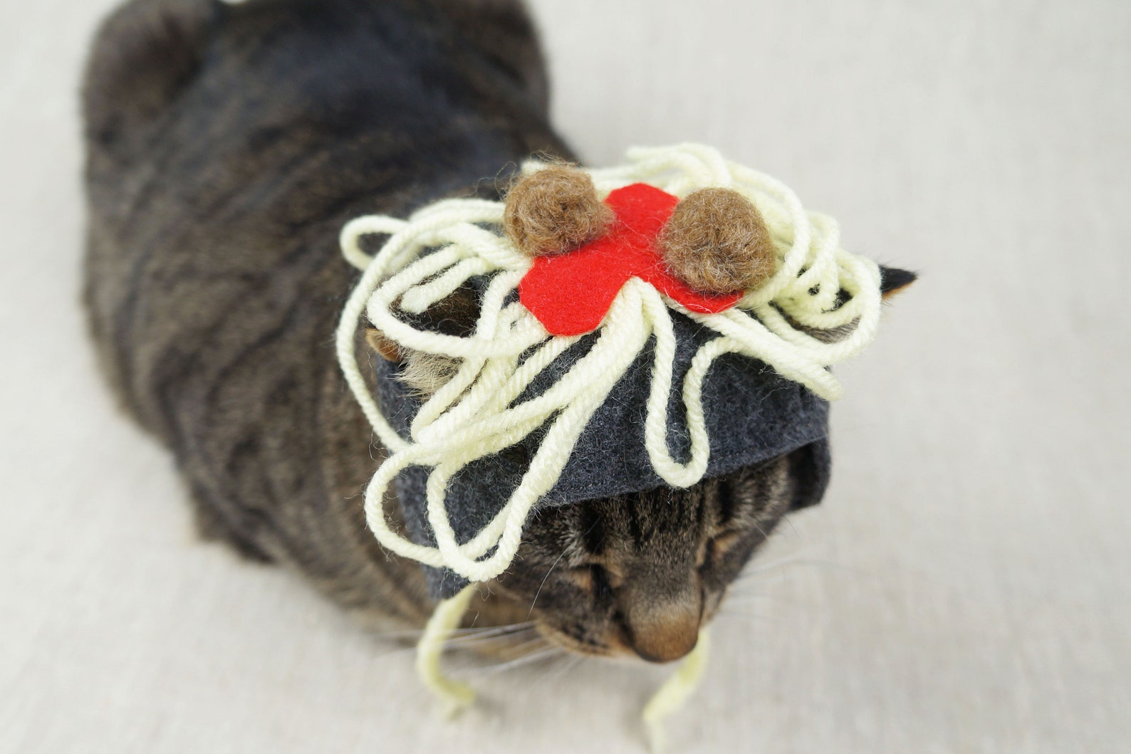 Spaghetti and Meatballs Hat for Cats - Etsy