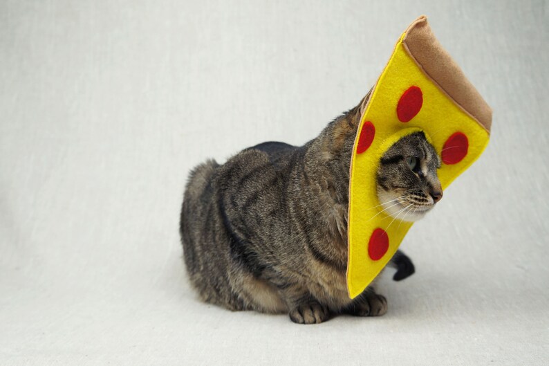 Pepperoni Pizza Costume for Cats - Etsy