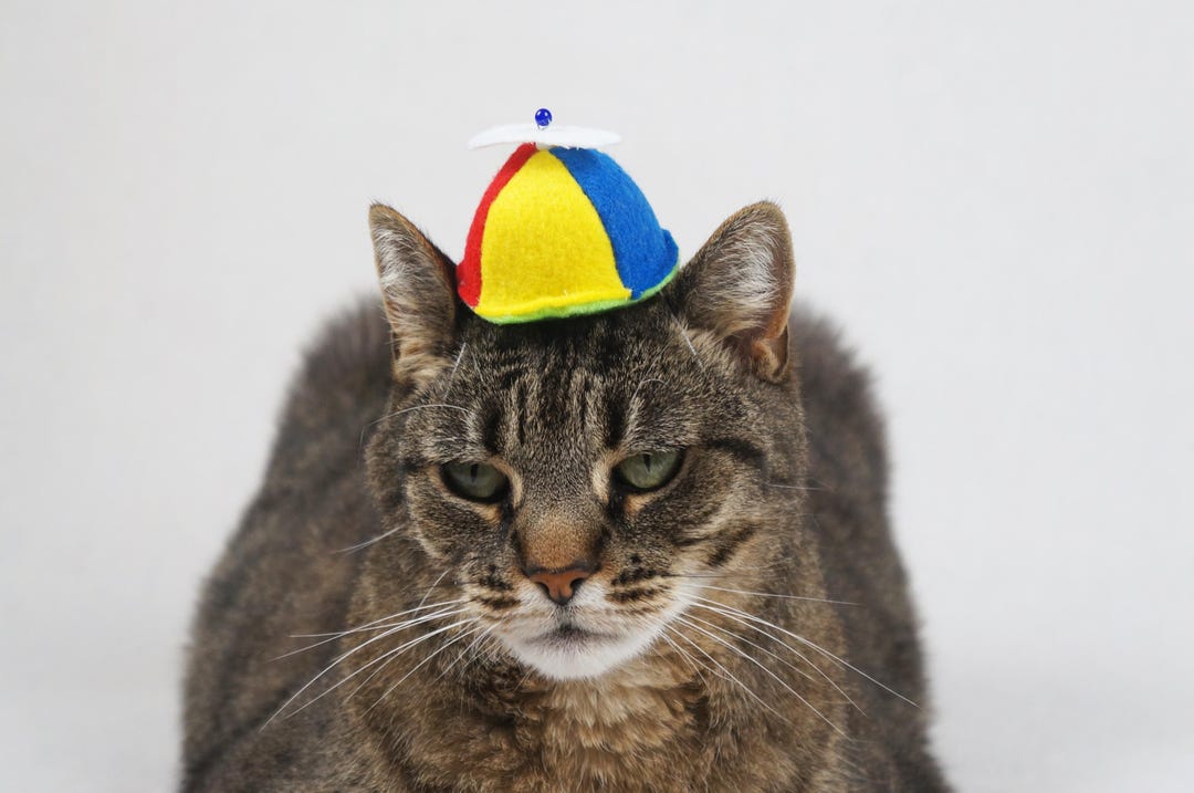 Propeller Beanie Hat for Cats - Etsy