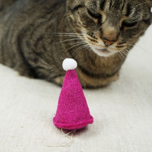 Mini Party Hat for Cats - Etsy