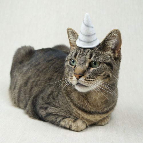 Mini Party Hat for Cats - Etsy