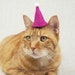 Mini Party Hat for Cats - Etsy