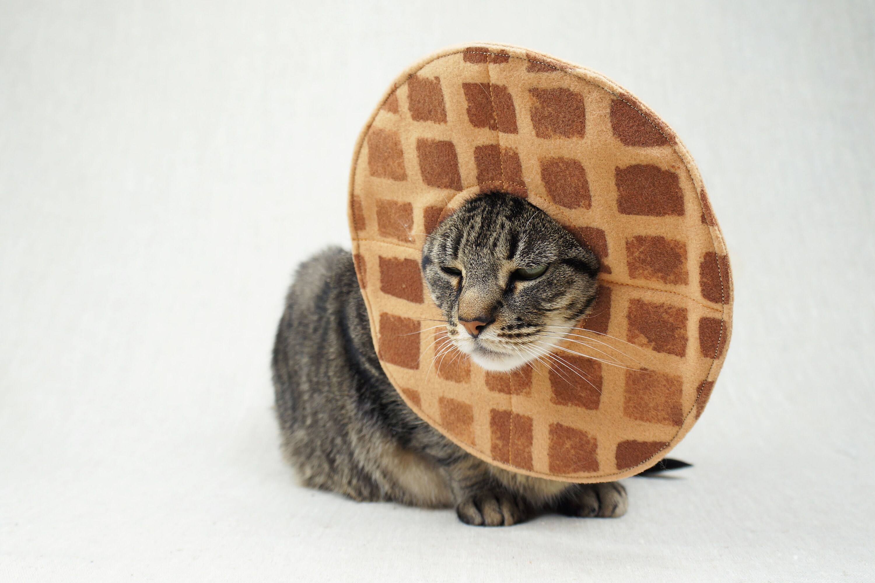 Waffle Costume for Cats | Etsy