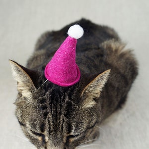 Mini Party Hat for Cats - Etsy