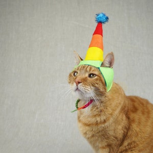 Rainbow Party Hat for Cats - Etsy