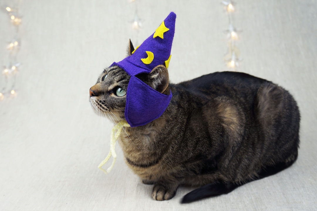 Wizard Hat for Cats- Glow in the Dark! - Etsy