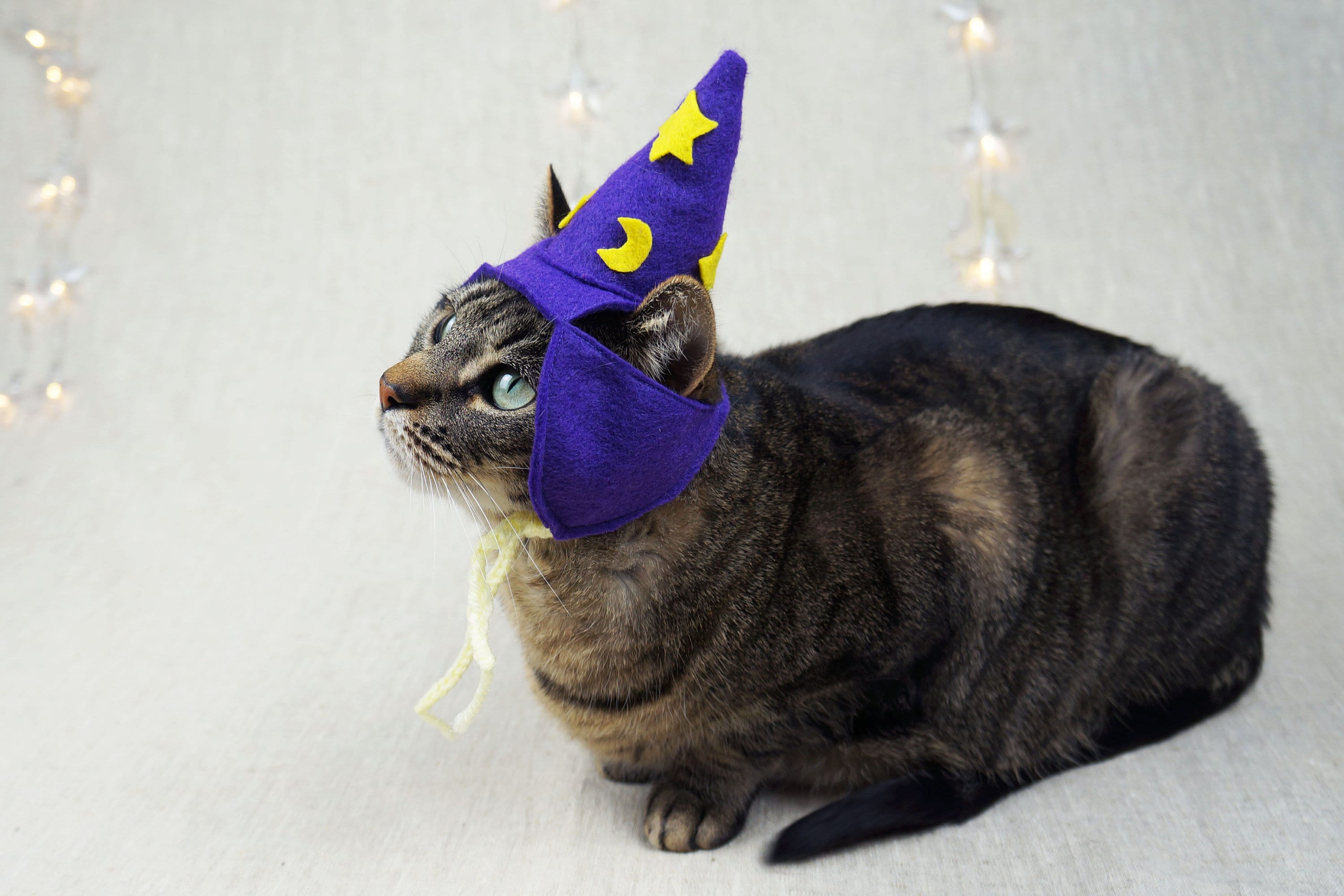 Wizard Hat for Cats Glow in the dark | Etsy